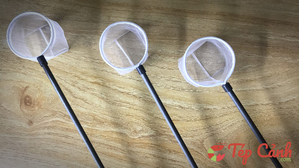 Vợt bắt tép Taiwan